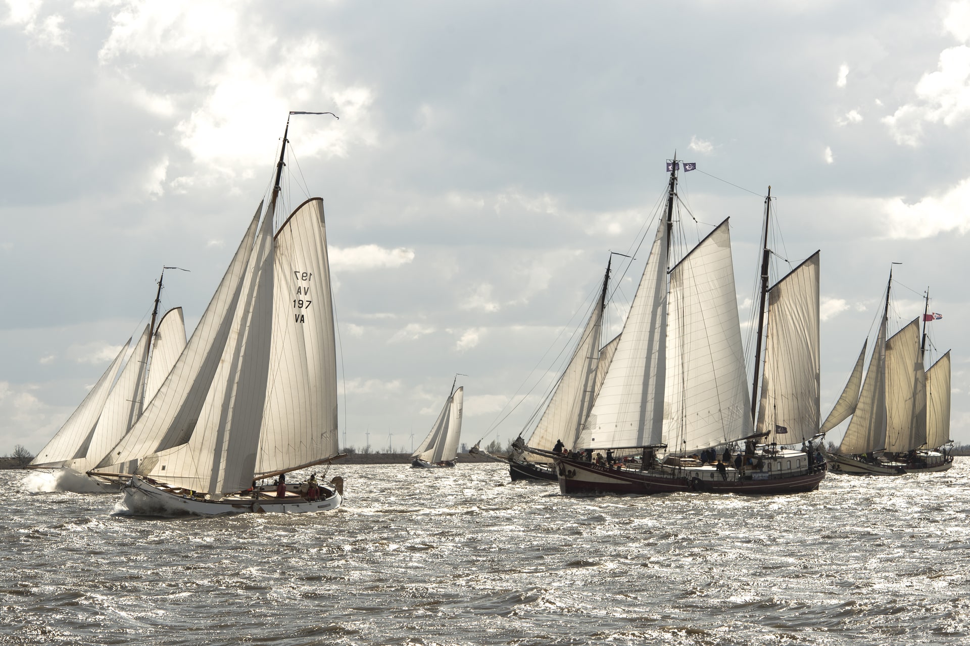 joyce loch - Met de wind in de zeilen - De pieperrace is begonnen ...